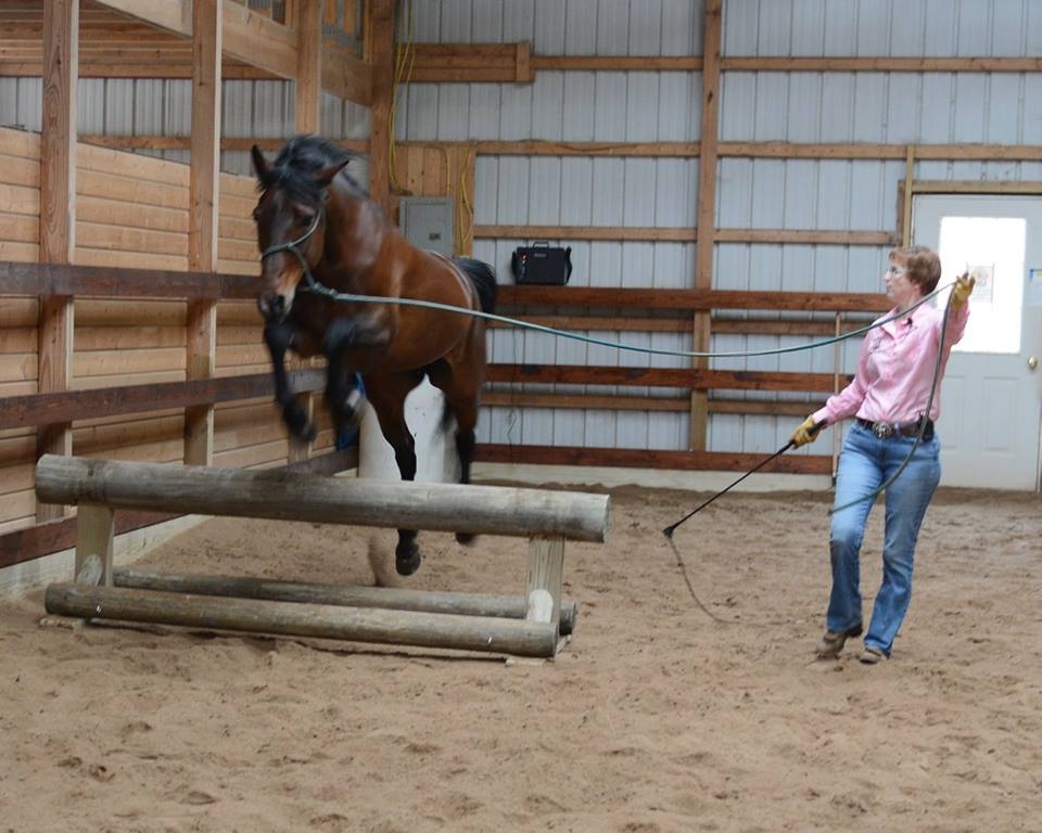 Broken Spoke Stables